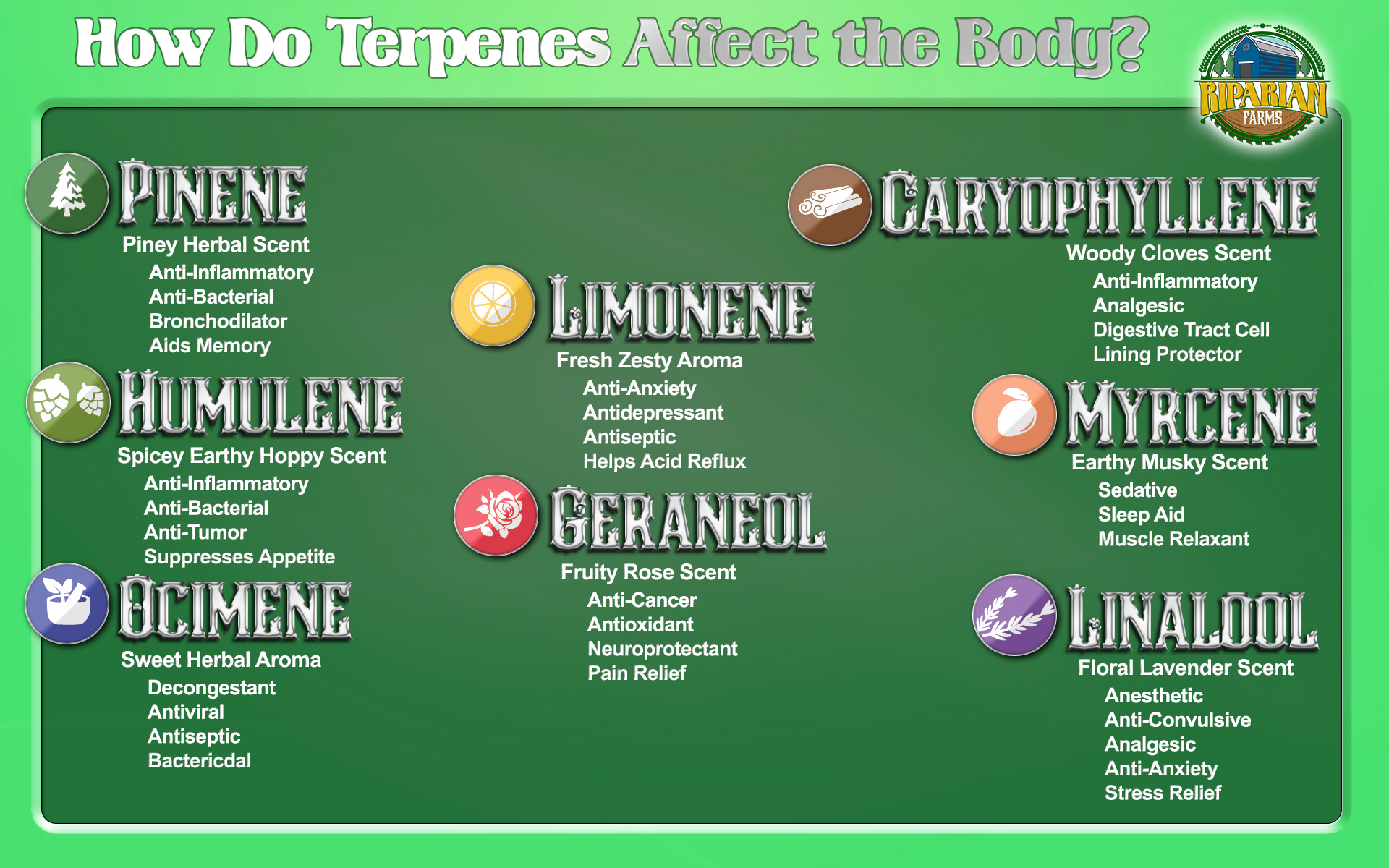 Terpenes: What You Need to Know – Health Happiness is Internal